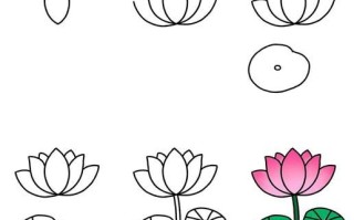 荷花简笔画怎么画_荷花简笔画步骤