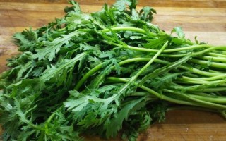 蒜和茼蒿一起吃会中毒吗_真相解析