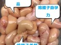 鸡腰子的功效与作用_鸡腰子什么人不能吃
