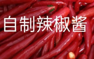 自制辣椒酱能放多久_怎么延长保质期