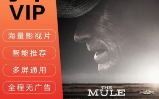 南瓜电影怎么样_南瓜电影会员值得开吗