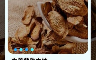 牛蒡根怎么泡水喝_牛蒡茶的功效与禁忌