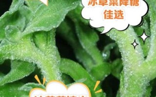 冰草多少钱一斤_冰草价格受哪些因素影响