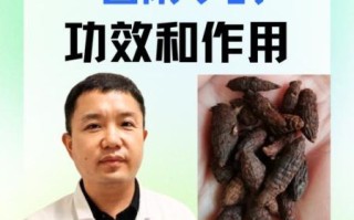香附和附子是同一味中药吗_功效区别与使用禁忌