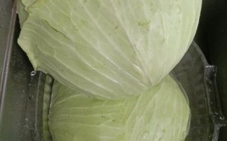 冬菜怎么保存不霉_冬菜的做法大全窍门