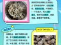 花甲和蛏子哪个更营养_花甲和蛏子的区别