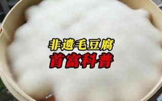 毛豆腐怎么做好吃_毛豆腐的家常做法