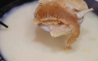 鱼翅品牌哪个好_鱼翅怎么挑选