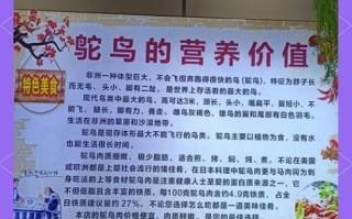 鸵鸟肉能吃吗_鸵鸟肉营养价值高吗