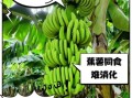 香蕉不能和什么一起吃_香蕉相克食物表