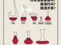 红酒醒酒需要多长时间_红酒醒酒器怎么选