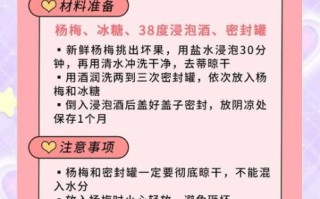 杨梅泡酒有什么功效_杨梅酒怎么喝最养生