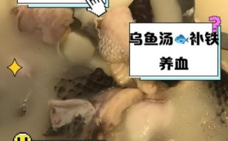 孕妇乌鱼汤的做法_乌鱼汤对孕妇有什么好处