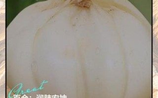 鲜百合的功效与作用及食用方法_鲜百合怎么吃最养肺 鲜百合的功效与作用及食用方法_鲜百合怎么吃最养肺