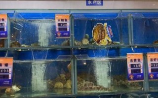 大连海鲜哪里好吃_大连海鲜价格贵吗