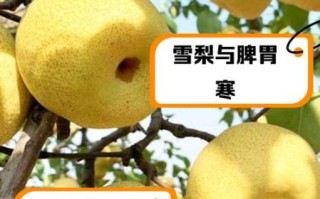 雪梨图片真实_如何辨别真假雪梨照片