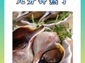 水煮海螺怎么做_水煮海螺要煮多久