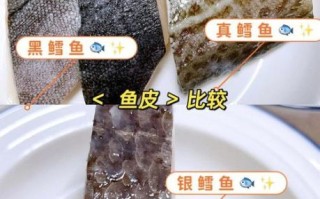 银鳕鱼宝宝辅食怎么做_银鳕鱼真假辨别技巧