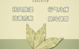 香叶在卤水中的作用_香叶和月桂叶一样吗