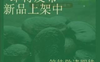 黑花芸豆的功效与作用_黑芸豆怎么吃最养肾