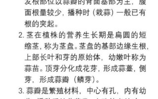 大蒜什么时候种最合适_大蒜怎么种才能高产