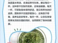 茵陈茶的功效与作用_茵陈茶怎么喝才正确