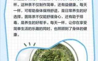 茵陈茶的功效与作用_茵陈茶怎么喝才正确