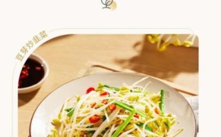 豆芽代理是什么_豆芽代理怎么用