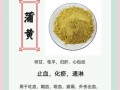 蒲黄的功效与作用_蒲黄怎么吃效果最好