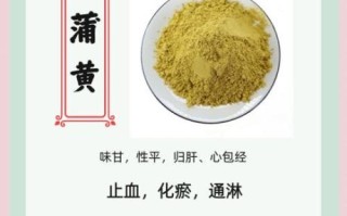 蒲黄的功效与作用_蒲黄怎么吃效果最好