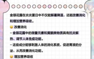 金银花露的功效与禁忌_孕妇能喝金银花露吗