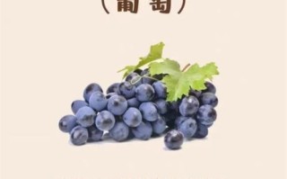 怀孕吃什么水果最好_孕妇水果推荐