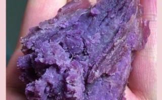 紫薯减肥能吃吗_紫薯热量高吗