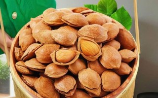 开口杏仁的功效与作用_开口杏仁的禁忌有哪些