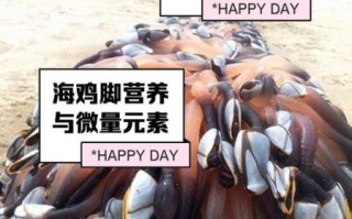 海鸡脚是什么_海鸡脚怎么吃