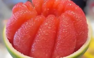 西柚英语怎么样_西柚英语靠谱吗