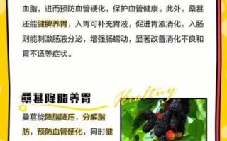 女人吃桑葚的好处_女人吃桑葚能美容养颜吗