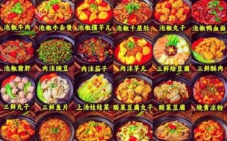 砂锅炖菜菜谱大全_砂锅炖菜怎么做才好吃