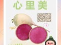 心里美萝卜学名是什么_心里美萝卜营养价值