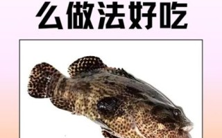 淡水石斑鱼好养吗_新手入门养殖技巧