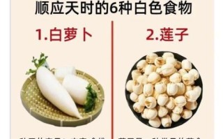 白露吃什么补身体_白露节气养生食谱