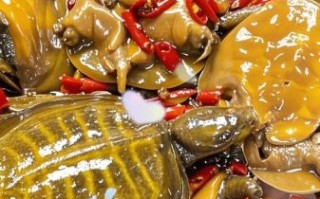 麻辣甲鱼怎么做_家常麻辣甲鱼做法