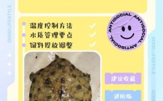 甲鱼养殖技术大全_甲鱼养殖常见问题