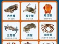 螃蟹品种大全及名称_哪种螃蟹最好吃