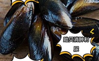 淡菜图片大全大图_淡菜和青口贝有什么区别