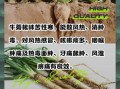 牛蒡根桂花茶的功效与作用_牛蒡桂花茶适合什么人喝