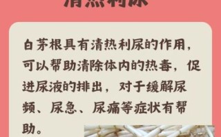 白茅根能长期泡水喝吗_白茅根泡水喝的禁忌