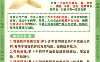 萝卜的功效与作用禁忌_什么人不能吃萝卜