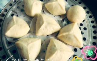 腐乳肉包子馅怎么做_腐乳肉包子馅视频窍门