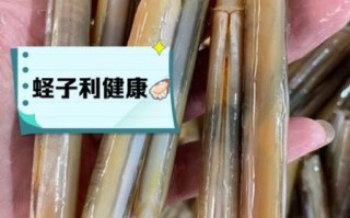 蛏子的鼻子是什么_蛏子鼻子掉了还能活吗